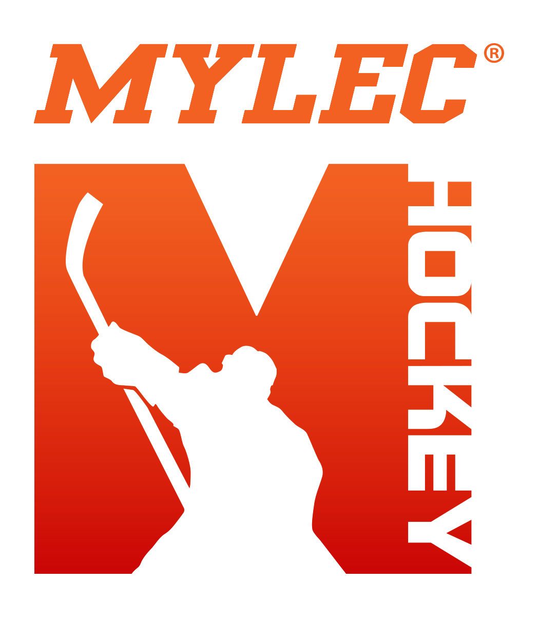 National Ball Hockey League